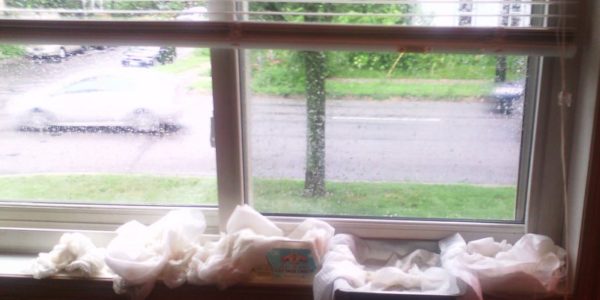 How to Find, Fix and Prevent Window Water Leaks - Windows and More